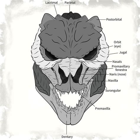 Legendary Godzilla Side View