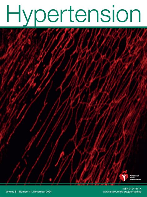 Sex Differences In Hypertension And Its Management Throughout Life Hypertension