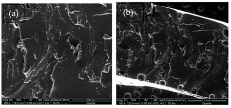 Tailor Made Bio Based Non Isocyanate Polyurethanes Nipus