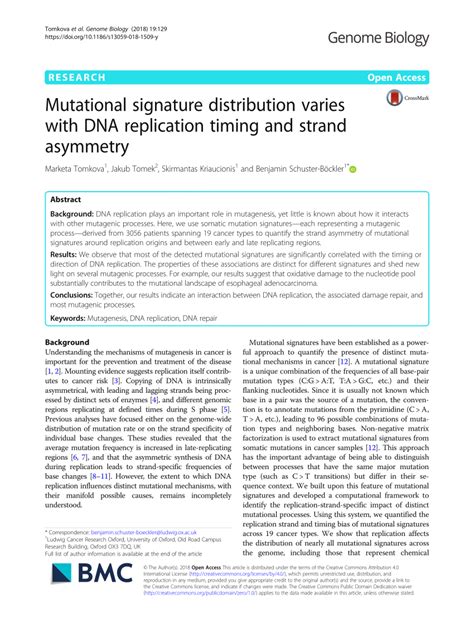 Pdf Mutational Signature Distribution Varies With Dna Replication Timing And Strand Asymmetry