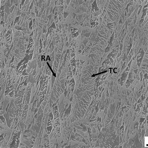 Sem Microstructure Of Qt A And Sat B Samples With Marked Transition Download Scientific