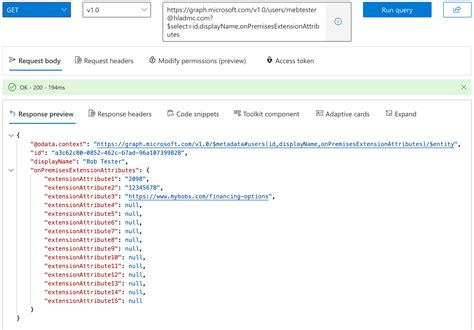 Extensionattributes Are All Null · Issue 41 · Set Outlooksignatures