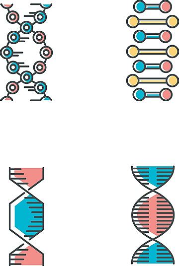 Color Icons Of Dna Spiral Chains And Genetic Code Vector Elements Spiral Medicine Png And