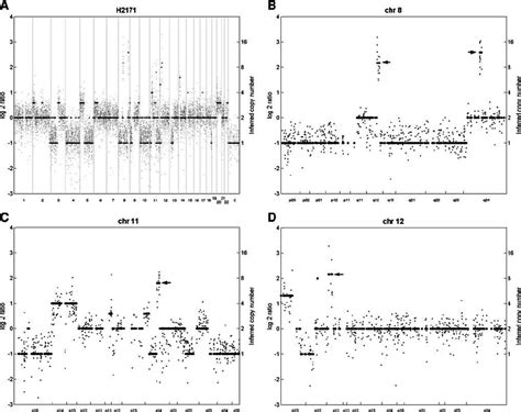 Single Nucleotide Polymorphism Array Analysis Of Chromosome