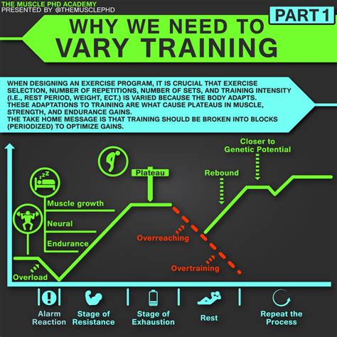 Infographics The Muscle PhD