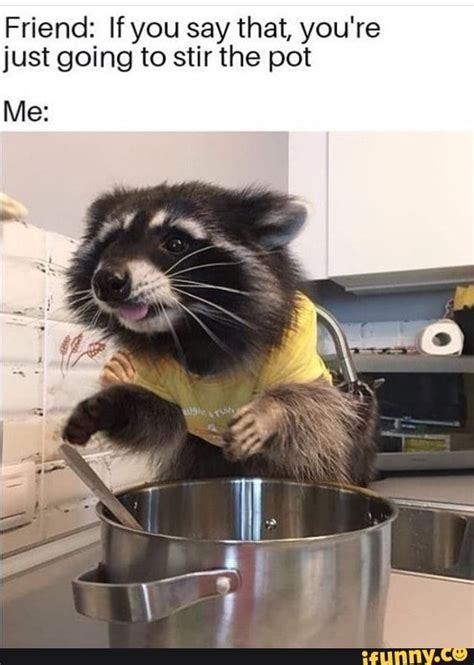 Friend If You Say That Youre Just Going To Stir The Pot Ifunny