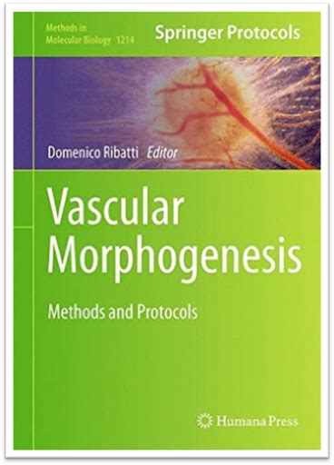 methods in molecular biology vol 1214 vascular morphogenesis methods