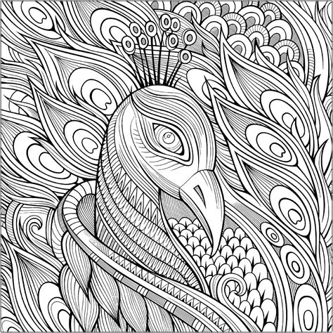 Printable Peacock Coloring Pages 2025