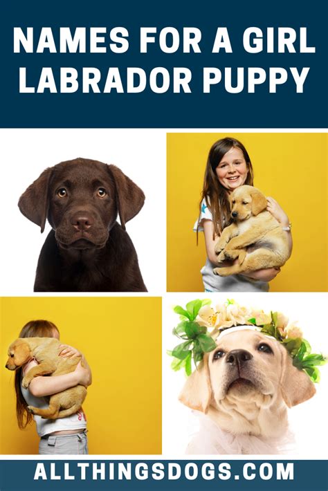 Good Names For A Girl Lab At Herman Dunlap Blog