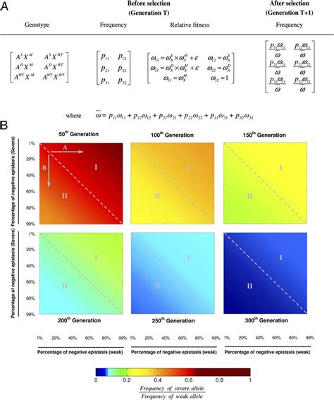 Increased Efficiency Of Purging Deleterious Mutations In Eukaryotic Download Scientific Diagram