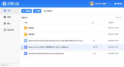 网盘直链下载助手 油小猴