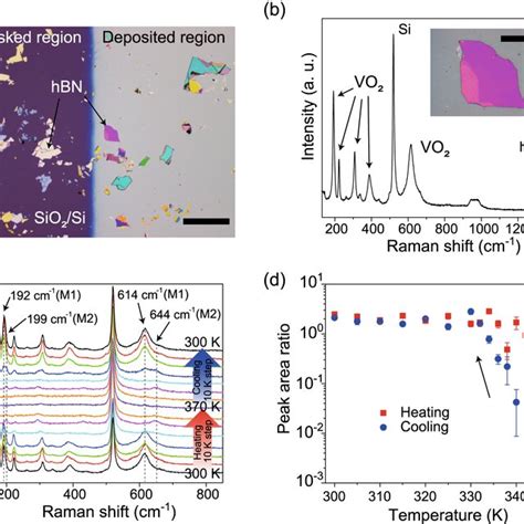 A Optical Image Of Hbn Flakes Exfoliated Onto A Sio2 Si Substrate
