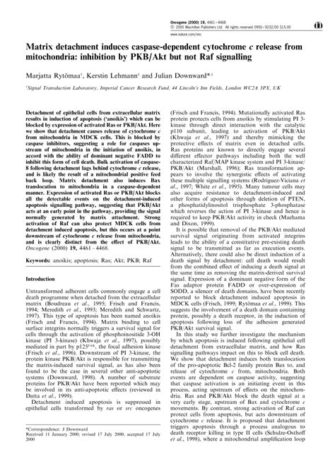 Pdf Matrix Detachment Induces Caspase Dependent Cytochrome C Release