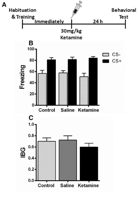 Effect Of Ketamine When Administered Immediately After Fear