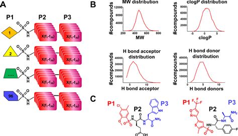 Mixture Based Screening Of Focused Combinatorial Libraries By Nmr Application To The
