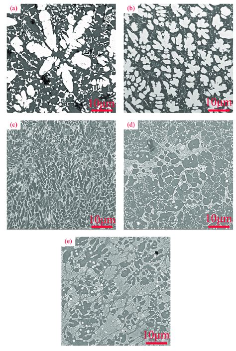 Sem Of The Cross Section Of Wvtaticr X Refractory High Entropy Alloy Download Scientific