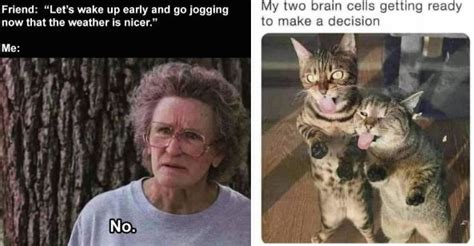 Funny Archives Barnorama