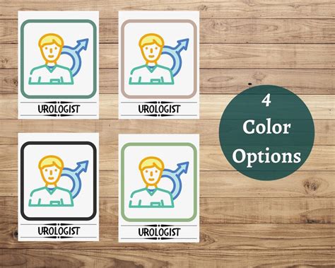 Male Reproductive System Flashcards Male Human Anatomy Busy Book Flashcards Human Anatomy Body