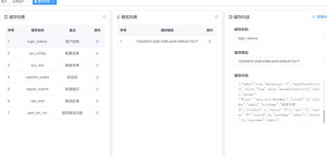 03java之若依基础篇——功能详解（系统管理、系统监控、系统工具）若依管理系统 Csdn博客
