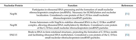 Table 1 From The Nucleolus And Its Interactions With Viral Proteins Required For Successful