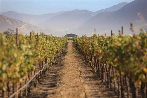 Regenerative Farming And Carbon Sequestration