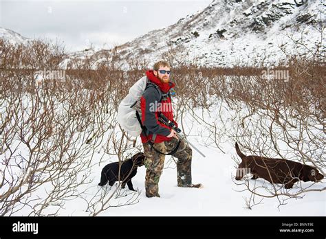 Black Lab Hunting Hi Res Stock Photography And Images Alamy