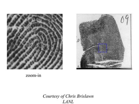 PPT Wavelets PowerPoint Presentation Free Download ID 3875736