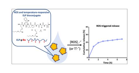 Dual Responsive Emulsions Based On Amphiphilic Elastin Like Polypeptide Bioconjugates