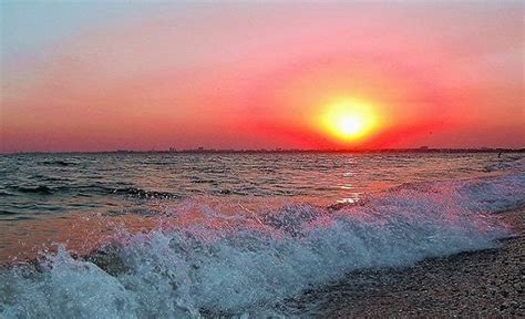 საინტერესო ფაქტები და მოსაზრებები შავი ზღვის შესახებ