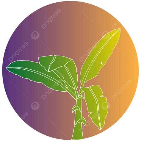 Sunset Background Vector PNG Vector PSD And Clipart With Transparent Background For Free