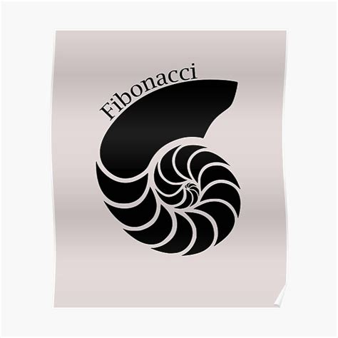 Fibonacci Sequence In Nature Poster By JuditR Redbubble