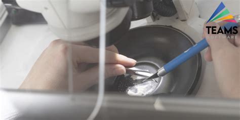 Bulk And Stand Alone Asbestos Sample Analysis Teams Software