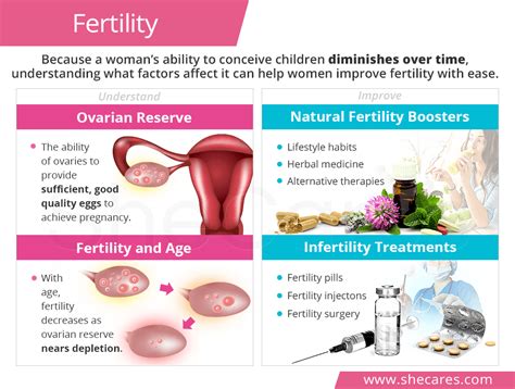 Fertility Shecares