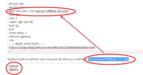 Using Openvpn And Not Starting Installing And Using Openwrt Openwrt