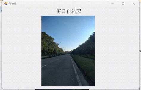 【winfrom C 学习自定义窗体类封装过程winform 自定义窗体 Csdn博客
