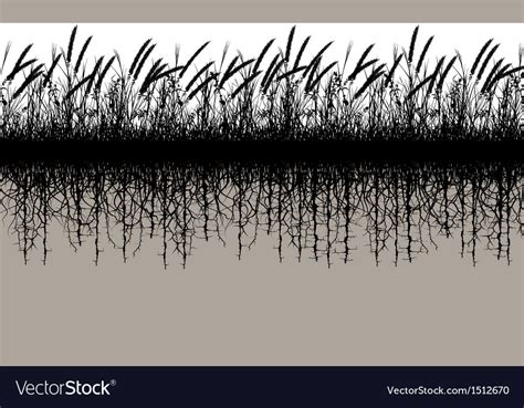 Grassroots Royalty Free Vector Image Vectorstock