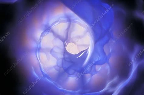 Dna Stock Image G110 0829 Science Photo Library