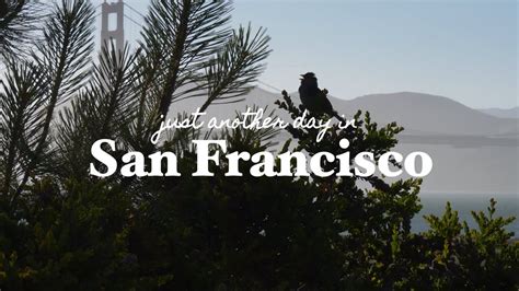 샌프란 Vlog 낭만하면 여기 평화롭게 걷기 좋은 공원 3곳 🪴 San Francisco Vlog Youtube