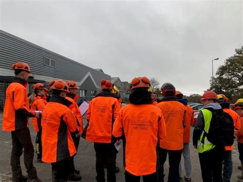 Destampes Bois Rse Circuitcourt Palette Claire Decoster