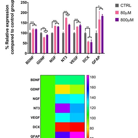 A Relative Expression Of Brain Derived Neurotrophic Factor Bdnf Download Scientific
