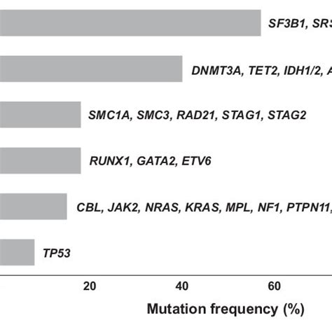 Classification Of Frequently Mutated Genes In Mds And Cmml According To