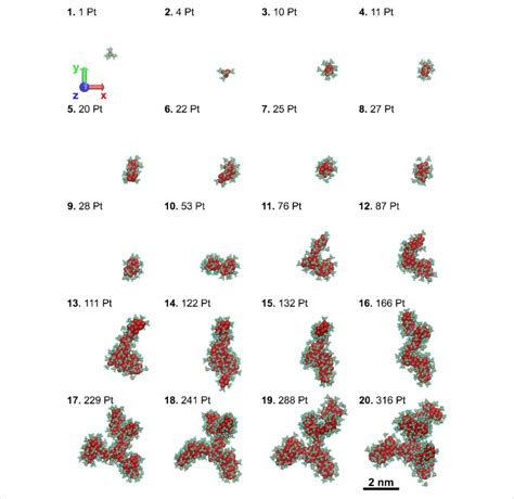 Evolution Of The Largest Cluster In The Course Of Simulation At The End