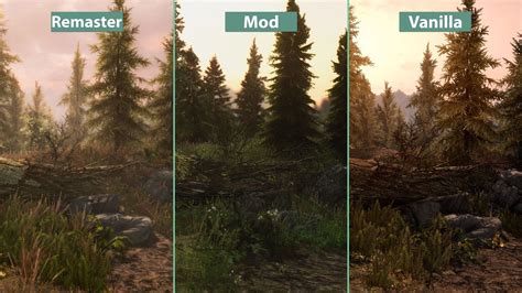 Skyrim anniversary edition отличия