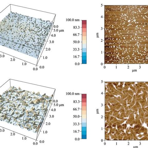 Snapshot From A Gromacs Md Simulation Of Nine Collagen Fragments In Download Scientific Diagram
