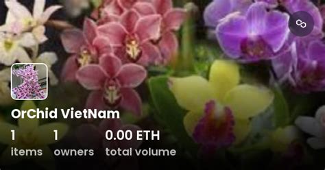 Orchid Vietnam Collection Opensea