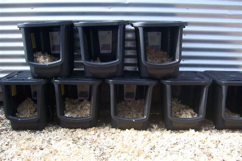 Guinea Fowl Nesting Boxes Chicken Nesting Box Dimensions