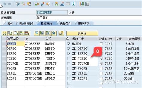 sap开发 abap数据字典（视图） 知乎