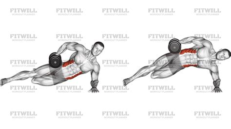 哑铃弯举推举：锻炼指南、视频、技巧、益处、方法、锻炼肌群、贴士与技巧 Fitwill