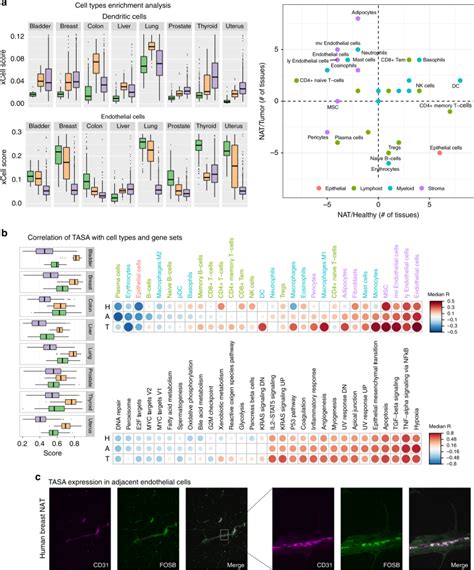 Comprehensive Analysis Of Normal Adjacent To Tumor Transcriptomes Pmc