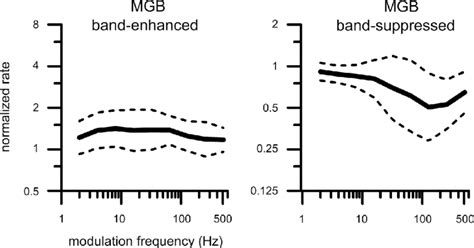 Population Rate Modulation Transfer Functions Of Medial Geniculate Body
